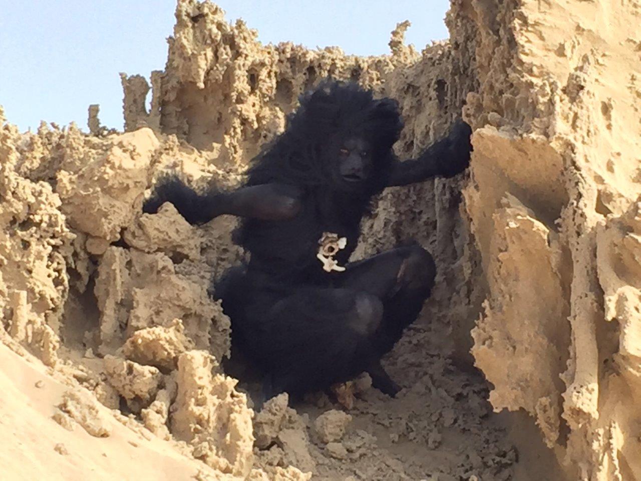 TIBICENAS, ARANFAIBOS, GUAYOTA Y SAN BORONDÓN EN EL CINE | Crónicas de ...